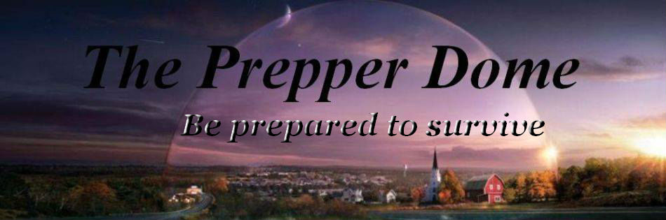dome-banner10 - The Prepper Dome