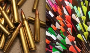 Gun vs. Bow – Which One Do You Need for Survival - The Prepper Dome
