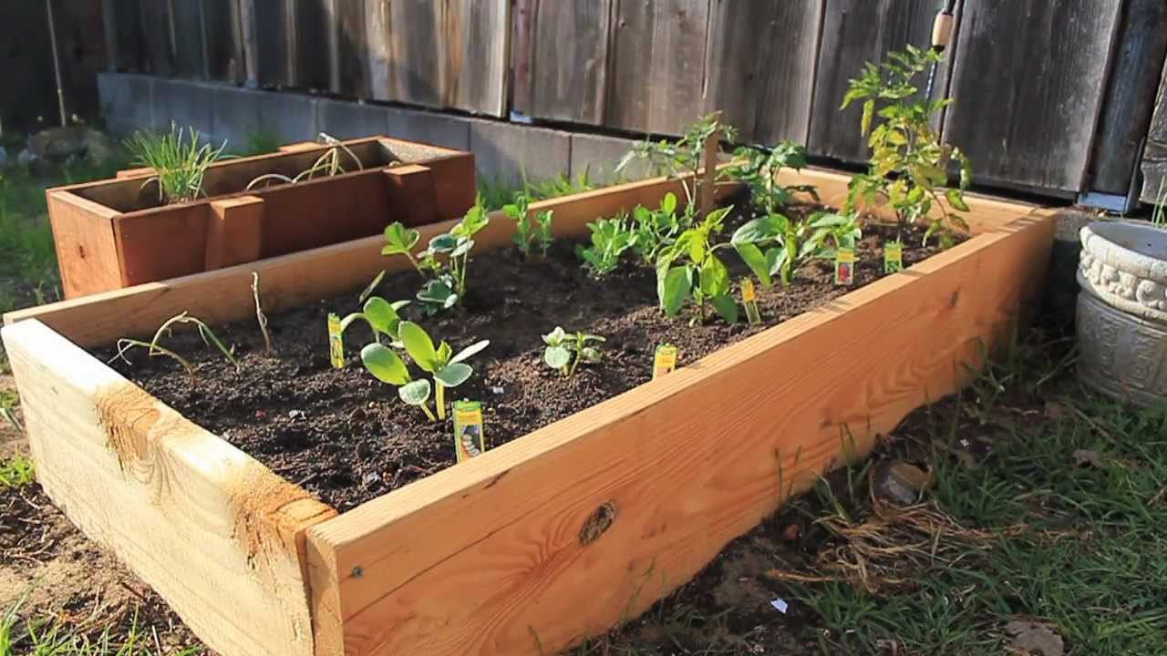 Tips For Preparing A Planting Bed The Prepper Dome