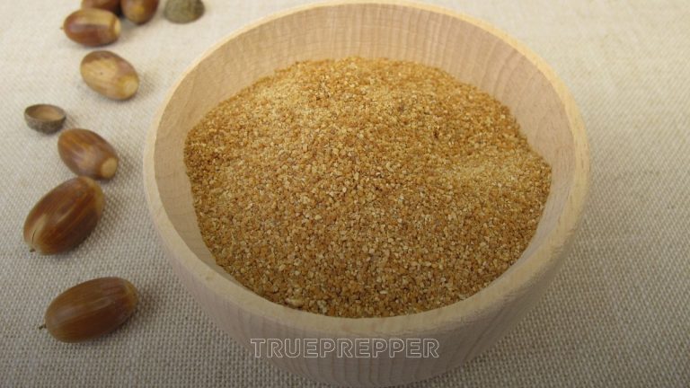 How to Make Acorn Bread - The Prepper Dome
